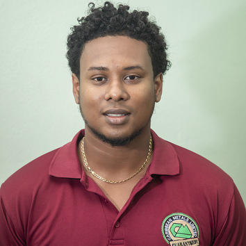 Team Members | Caribbean Metals LTD