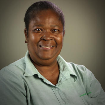 Team Members | Caribbean Metals LTD