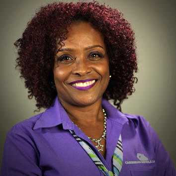 Team Members | Caribbean Metals LTD