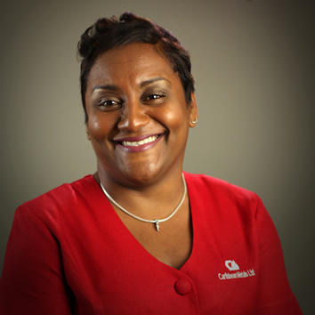 Team Members | Caribbean Metals LTD