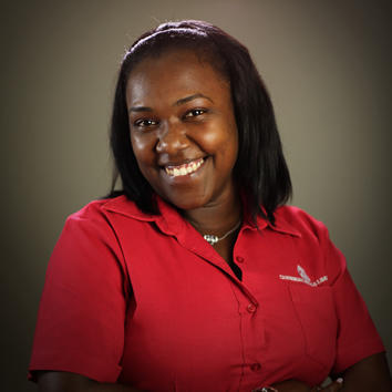 Team Members | Caribbean Metals LTD