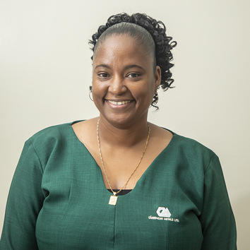 Team Members | Caribbean Metals LTD